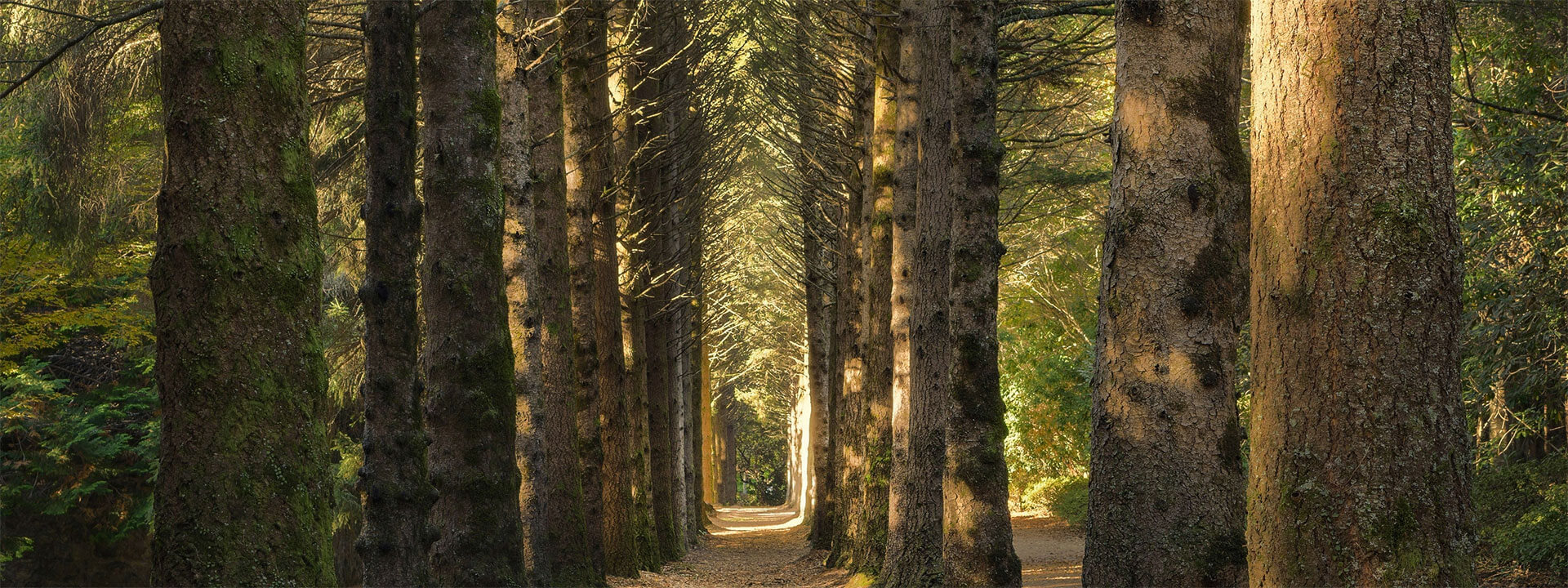 Newsroom - Prosperity Life Group